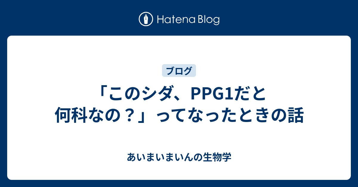 「このシダ、PPG1だと何科なの？」ってなったときの話 - あいまいまいんの生物学