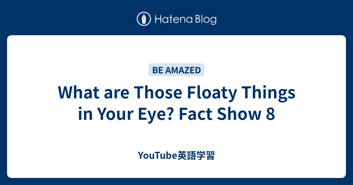 What are Those Floaty Things in Your Eye? Fact Show 8 - YouTube英語学習