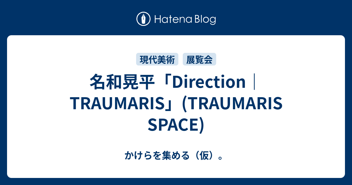 名和晃平「Direction｜TRAUMARIS」(TRAUMARIS SPACE) - かけらを集める（仮）。