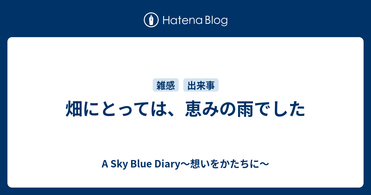 畑にとっては、恵みの雨でした - A Sky Blue Diary～想いをかたちに～