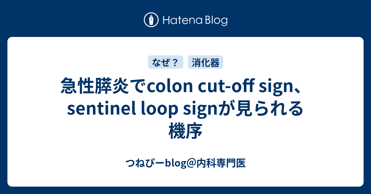 急性膵炎でcolon cut-off sign、sentinel loop signが見られる機序 - つねぴーblog＠内科専門医