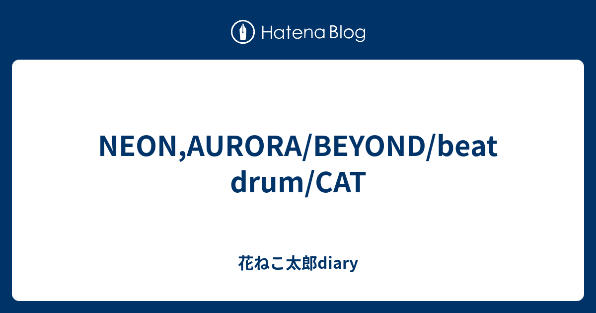 NEON,AURORA/BEYOND/beat drum/CAT - 花ねこ太郎diary