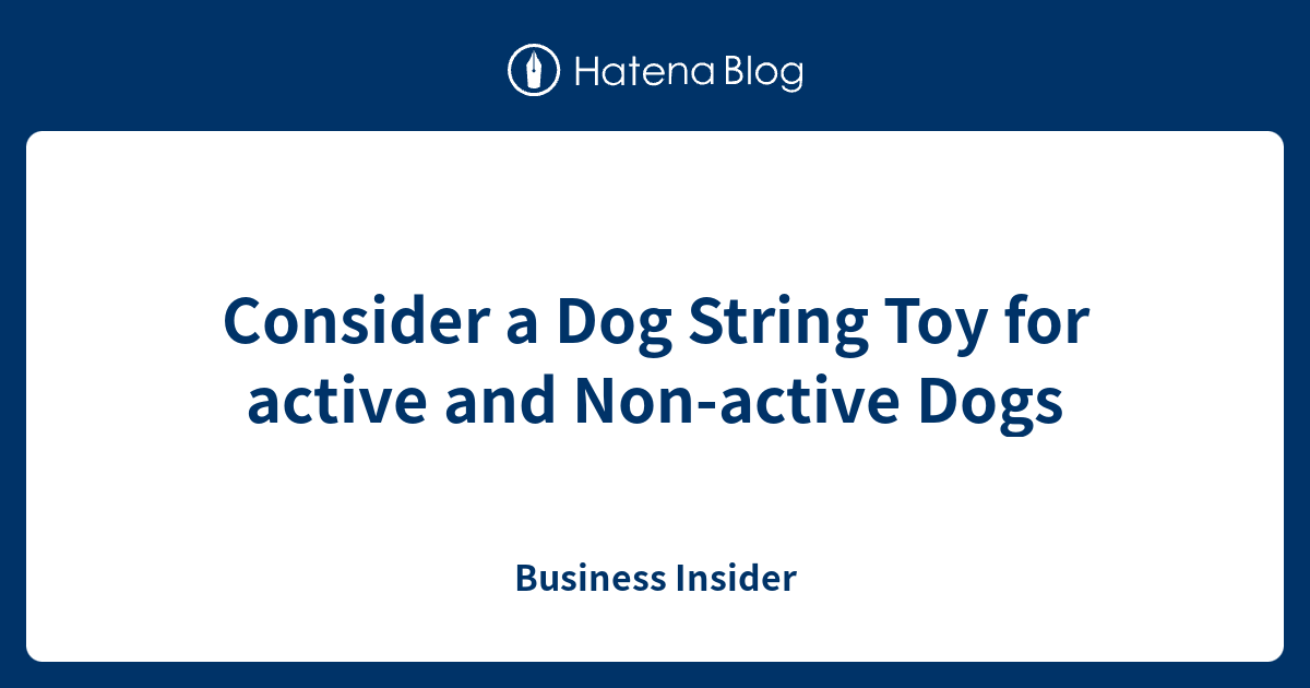 Consider a Dog String Toy for active and Non-active Dogs - Business Insider