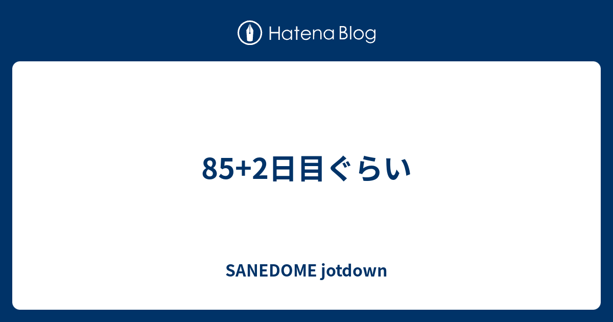 85+2日目ぐらい - SANEDOME jotdown
