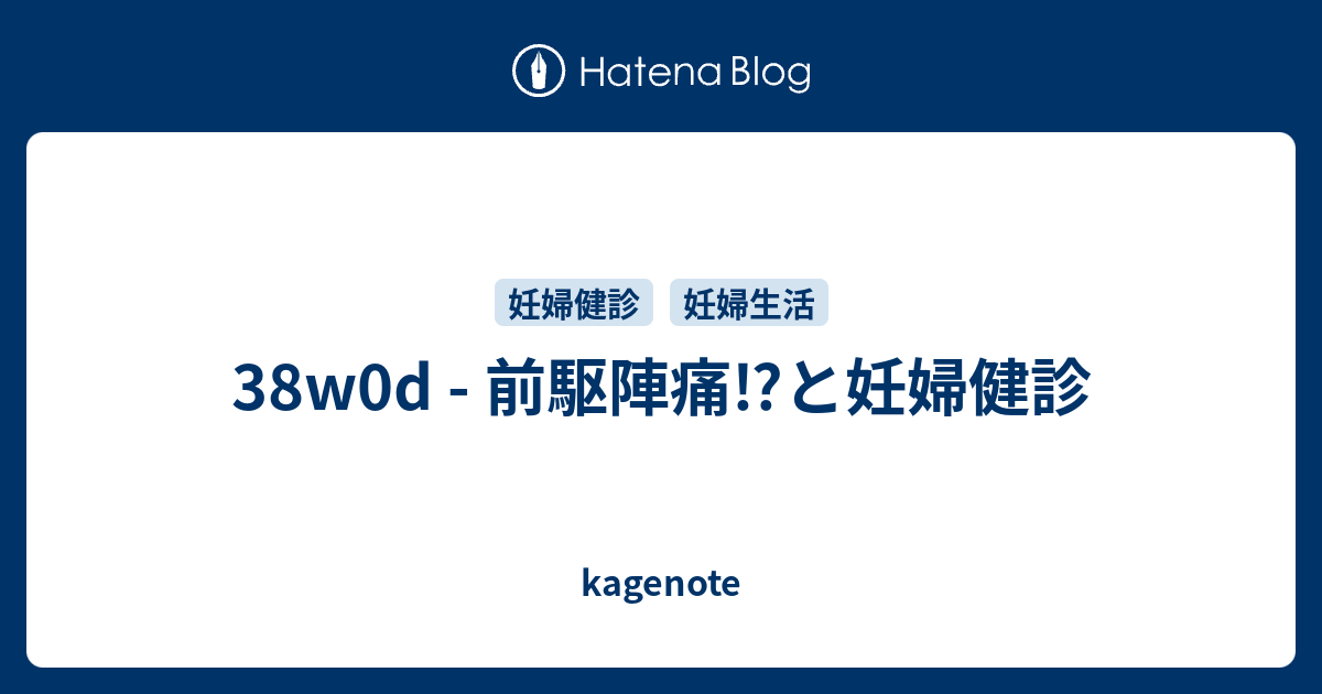 38w0d - 前駆陣痛⁉︎と妊婦健診 - kagenote