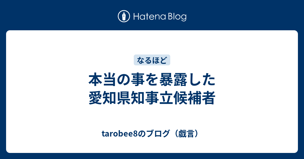 本当の事を暴露した愛知県知事立候補者 - tarobee8のブログ（戯言）