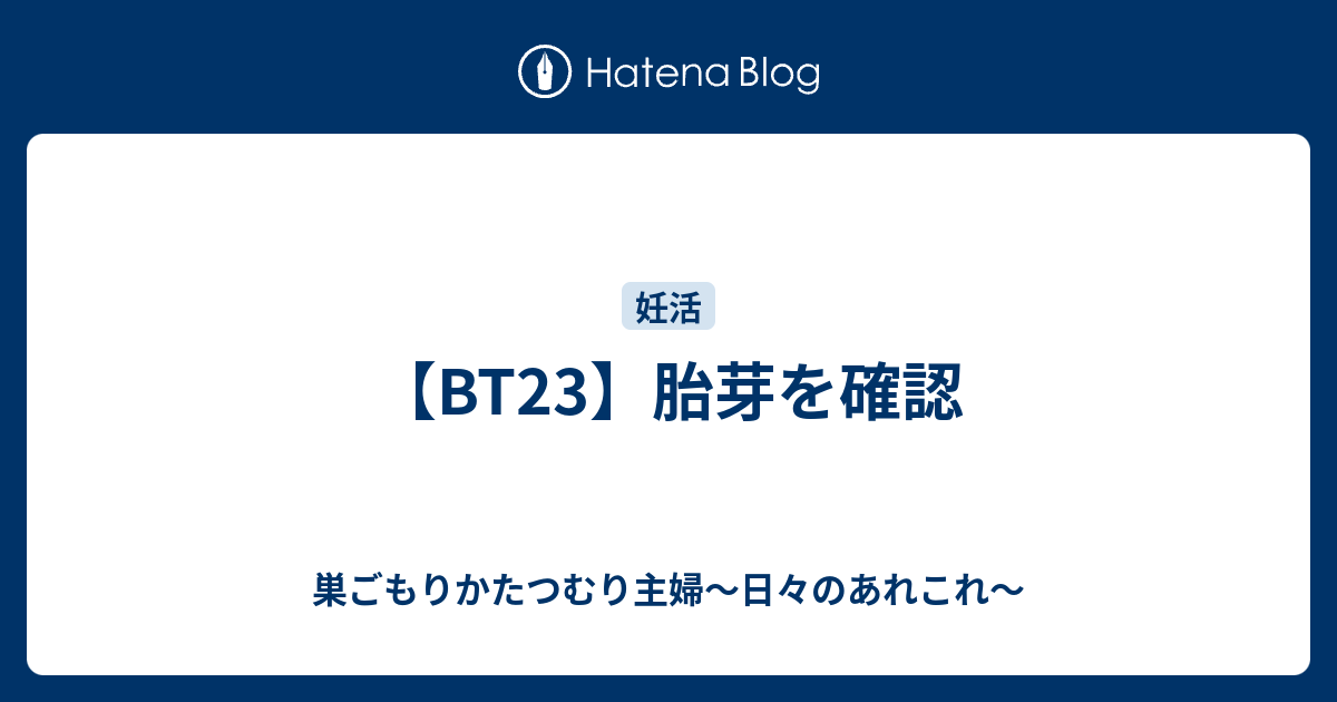 【BT23】胎芽を確認 - 巣ごもりかたつむり主婦～日々のあれこれ～