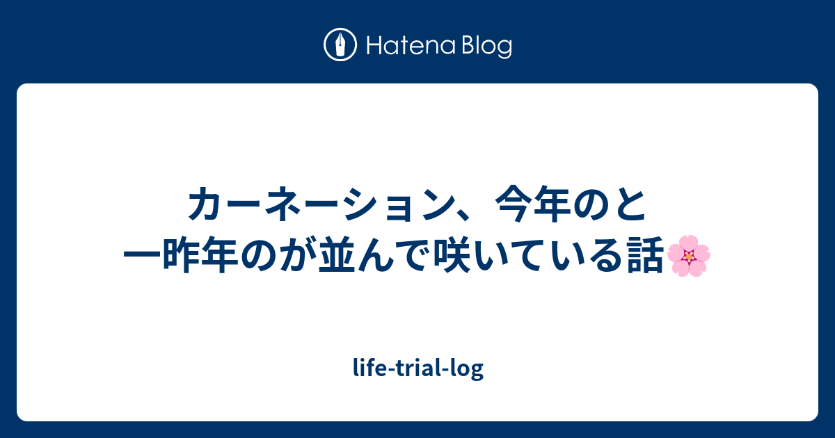 カーネーション、今年のと一昨年のが並んで咲いている話🌸 - life-trial-log