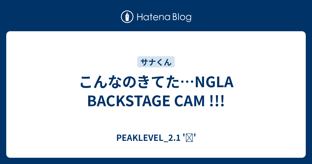 こんなのきてた…NGLA BACKSTAGE CAM !!! - PEAKLEVEL_2.1 'ᴗ'