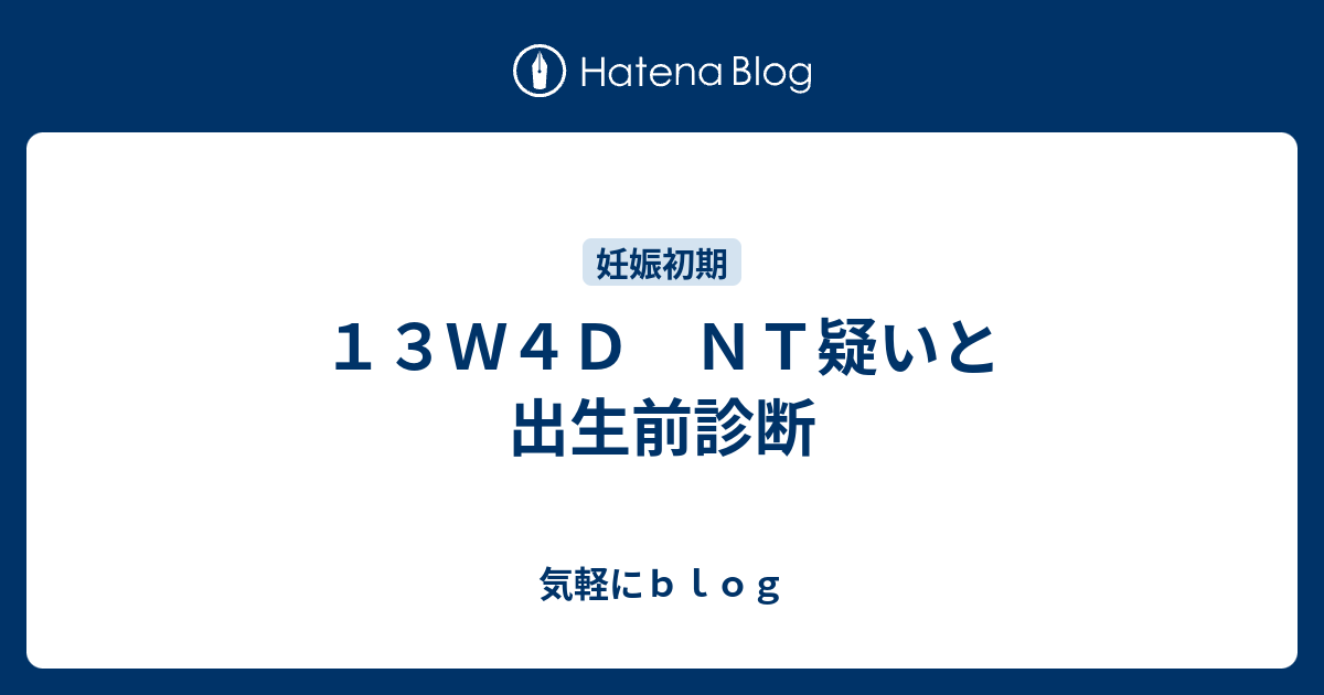 13W4D NT疑いと出生前診断 - 気軽にblog