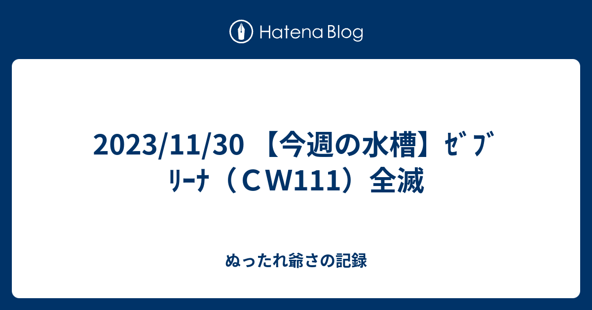2023/11/30 【今週の水槽】ｾﾞﾌﾞﾘｰﾅ（CW111）全滅 - ぬったれ爺さの記録