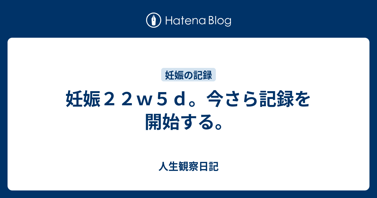 妊娠22w5d。今さら記録を開始する。 - 人生観察日記