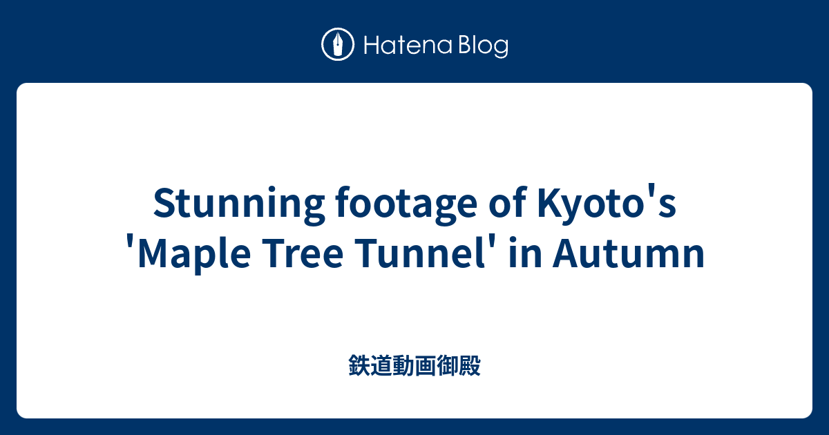 Stunning footage of Kyoto's 'Maple Tree Tunnel' in Autumn - 鉄道動画御殿