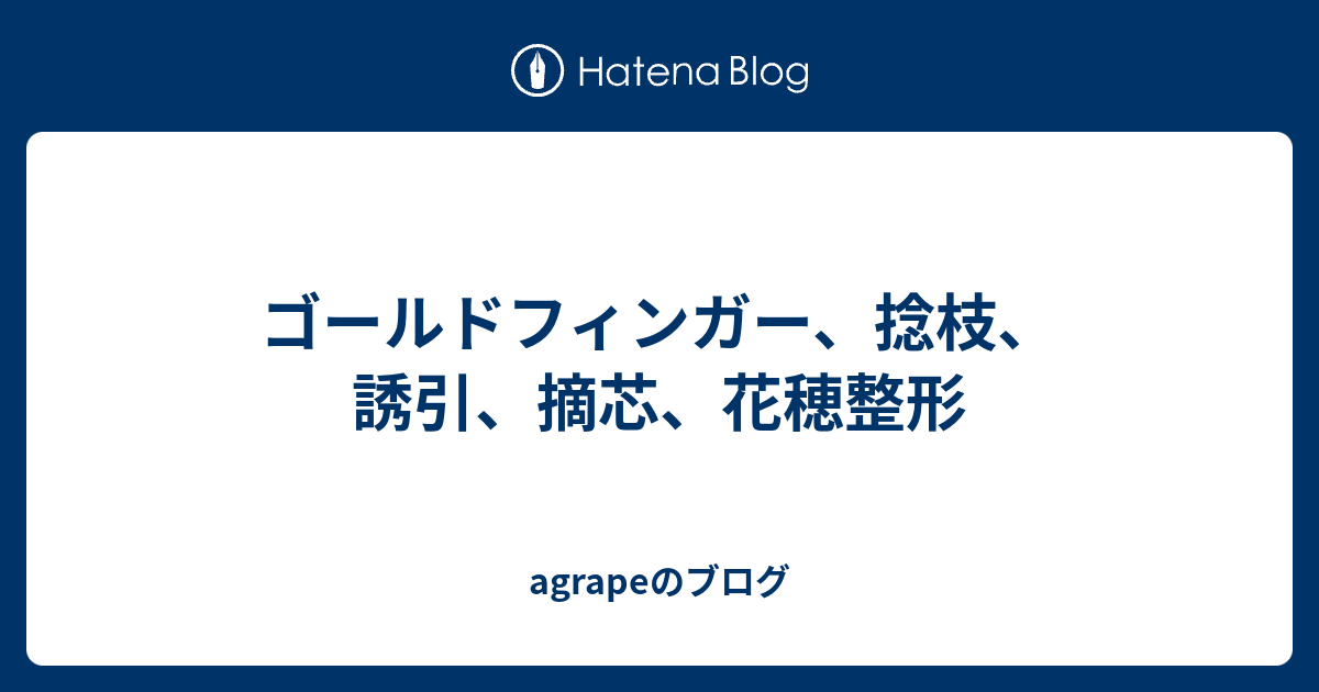 ゴールドフィンガー、捻枝、誘引、摘芯、花穂整形 - agrapeのブログ