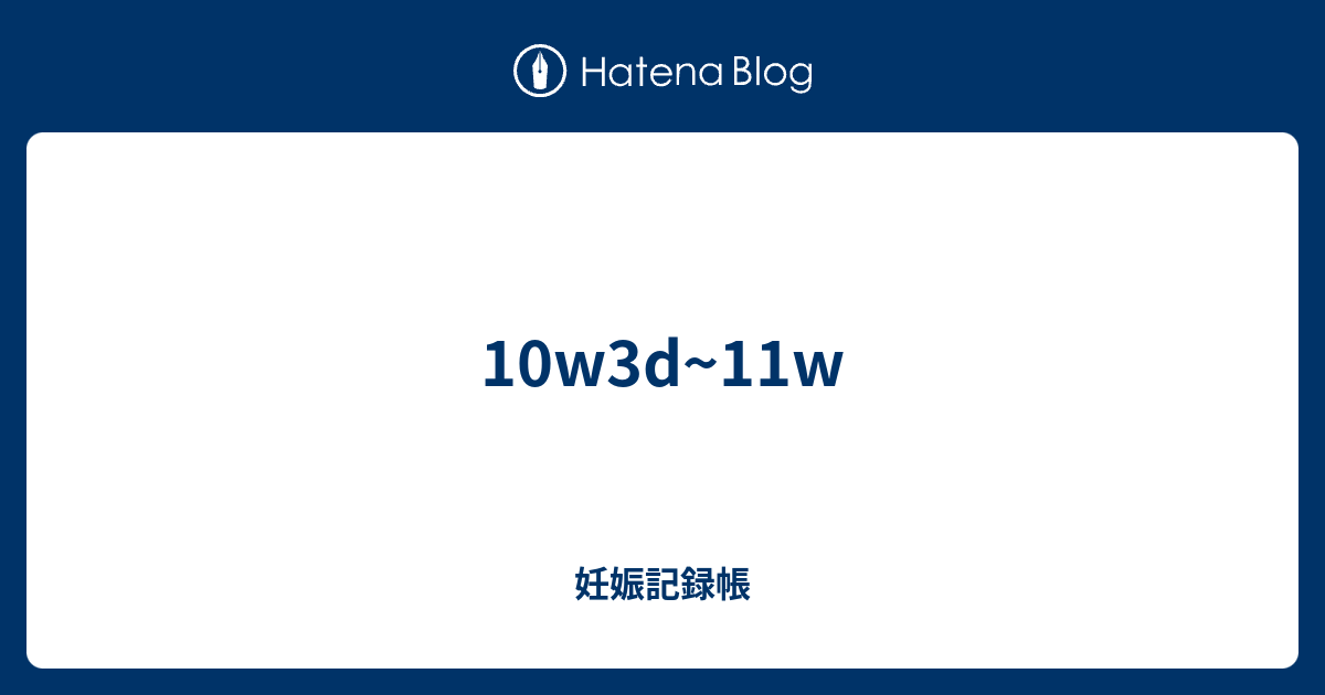 10w3d~11w - 妊娠記録帳