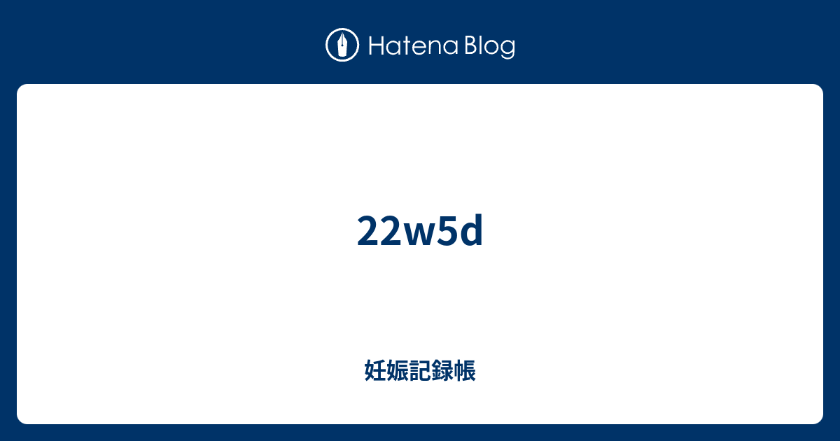 22w5d - 妊娠記録帳