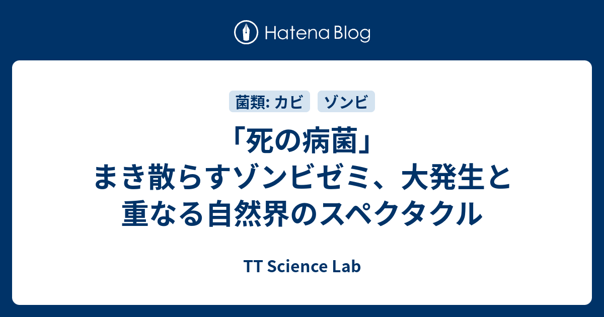 「死の病菌」まき散らすゾンビゼミ、大発生と重なる自然界のスペクタクル - TT Science Lab