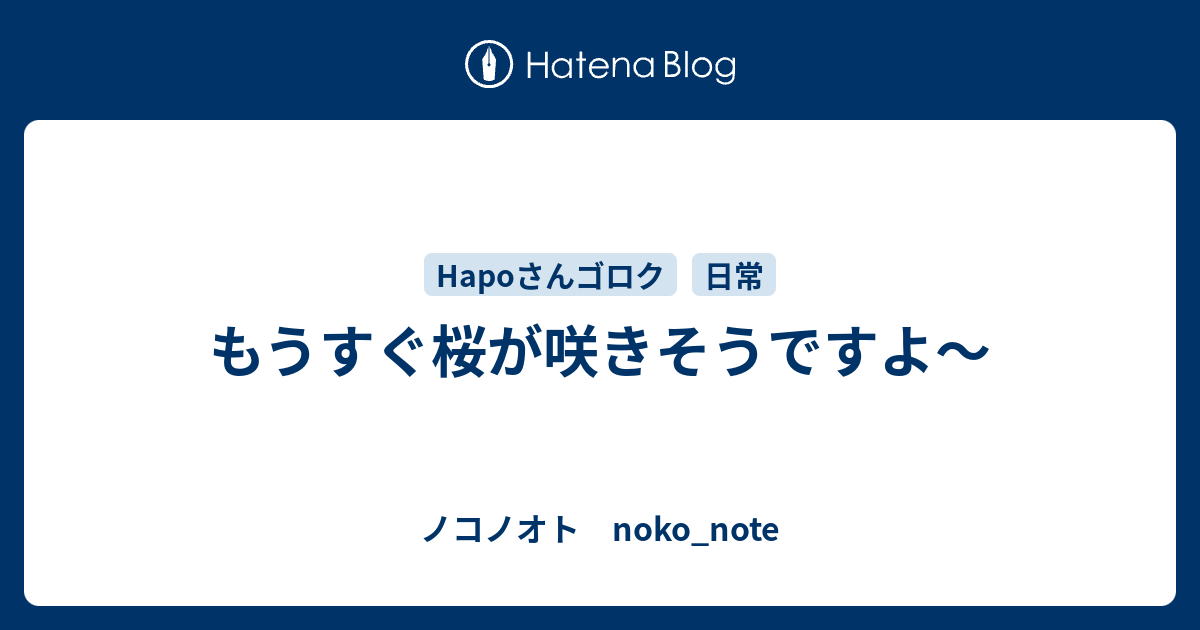 もうすぐ桜が咲きそうですよ～ - ノコノオト noko_note