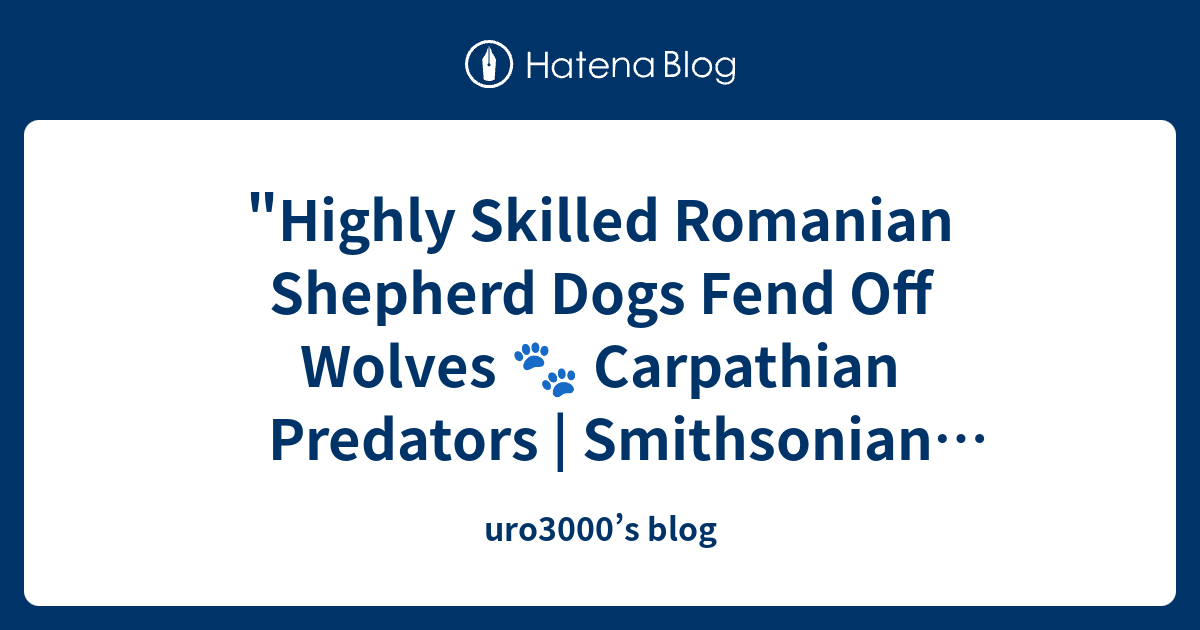 "Highly Skilled Romanian Shepherd Dogs Fend Off Wolves 🐾 Carpathian ...