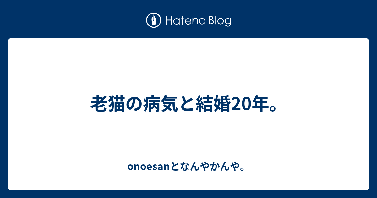 老猫の病気と結婚20年。 - onoesanとなんやかんや。