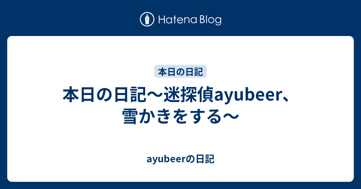 本日の日記〜迷探偵ayubeer、雪かきをする〜 - ayubeerの日記