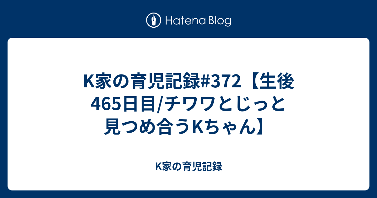 K家の育児記録#372【生後465日目/チワワとじっと見つめ合うKちゃん】 - K家の育児記録