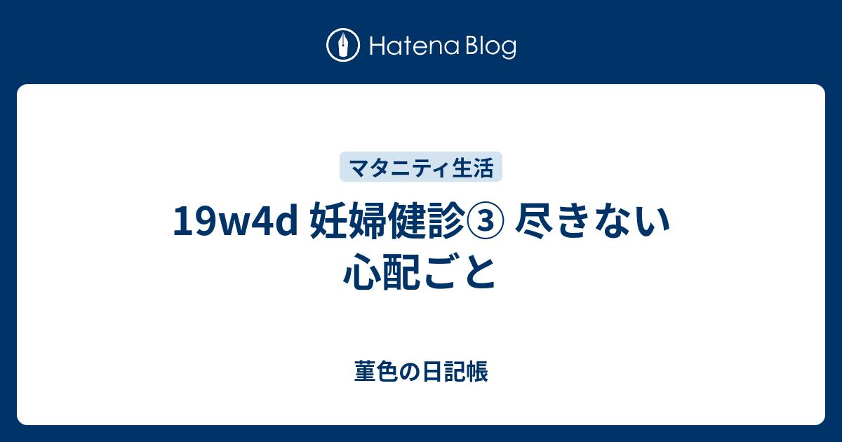 19w4d 妊婦健診③ 尽きない心配ごと - 菫色の日記帳