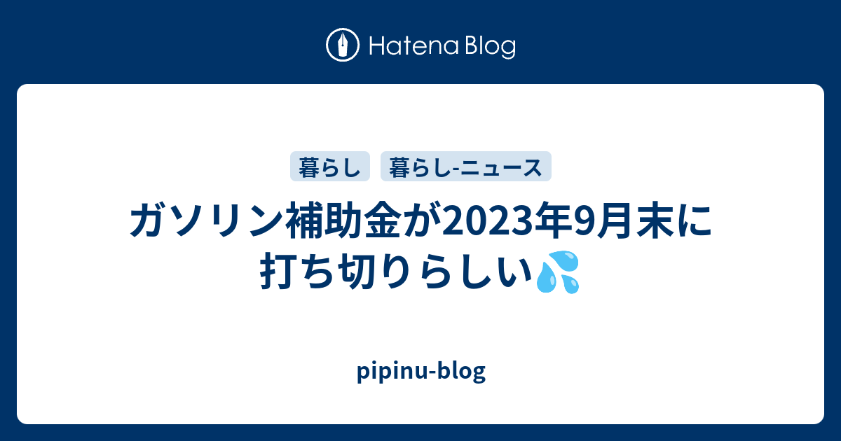 ガソリン補助金が2023年9月末に打ち切りらしい💦 - pipinu-blog