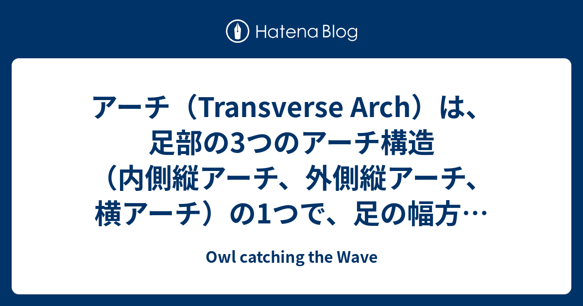 アーチ（Transverse Arch）は、足部の3つのアーチ構造（内側縦アーチ、外側縦アーチ、横アーチ）の1つで、足の幅方向（近位中足骨から ...