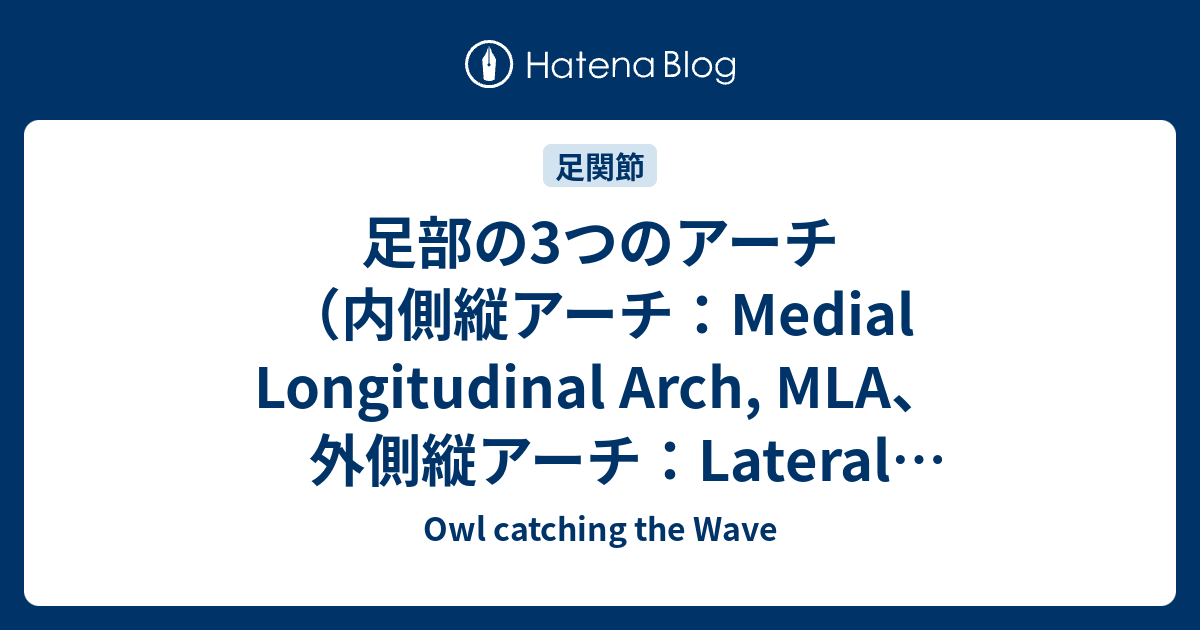 足部の3つのアーチ（内側縦アーチ：Medial Longitudinal Arch, MLA、外側縦アーチ：Lateral ...