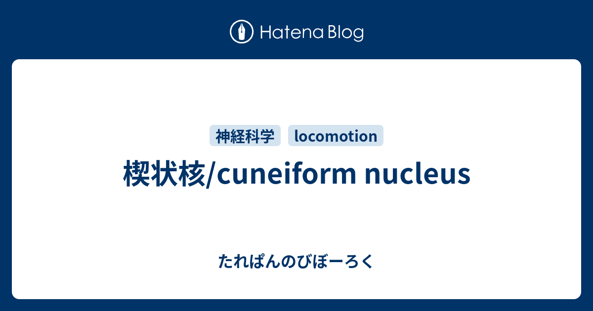 楔状核/cuneiform nucleus - たれぱんのびぼーろく