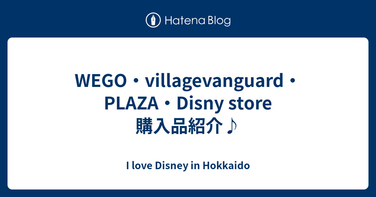 WEGO・villagevanguard・PLAZA・Disny store 購入品紹介♪ - I love Disney in Hokkaido