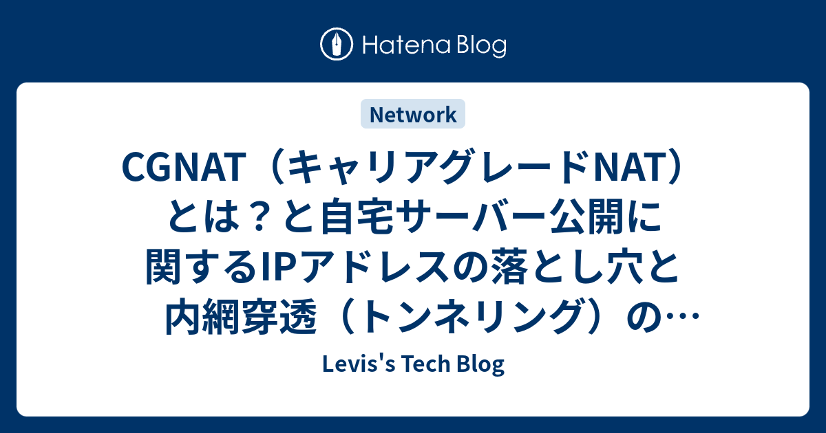 CGNAT（キャリアグレードNAT）とは？と自宅サーバー公開に関するIPアドレスの落とし穴と内網穿透（トンネリング）の解決策 - Levis's Tech Blog