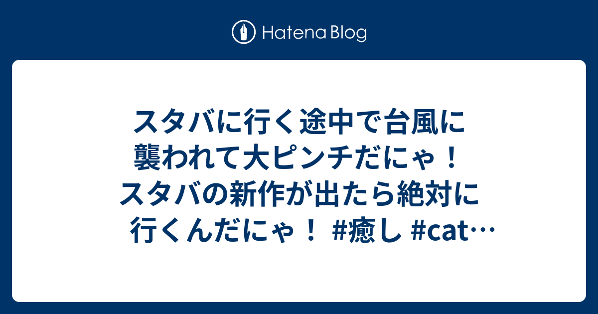 スタバに行く途中で台風に襲われて大ピンチだにゃ！スタバの新作が出たら絶対に行くんだにゃ！ #癒し #cat #ai動画 #cute #ねこ ...