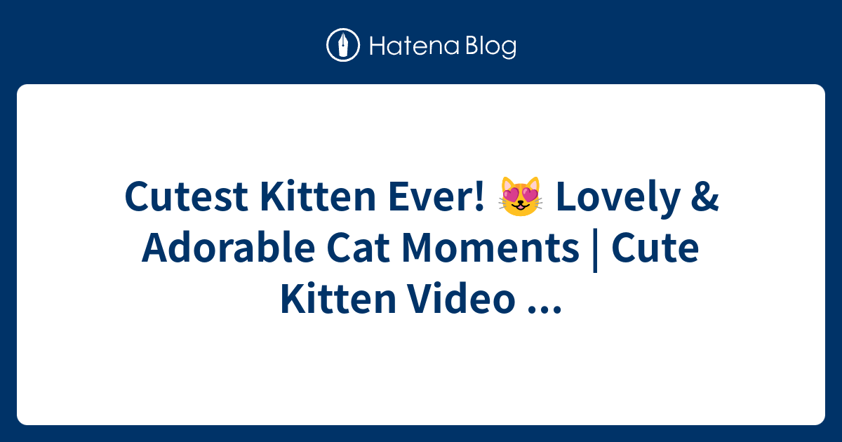 Cutest Kitten Ever! 😻 Lovely & Adorable Cat Moments | Cute Kitten Video
