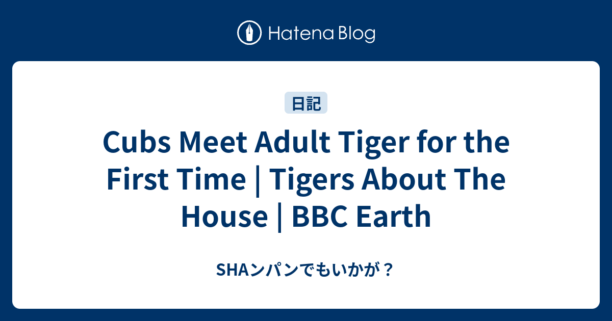 Cubs Meet Adult Tiger for the First Time | Tigers About The House | BBC ...