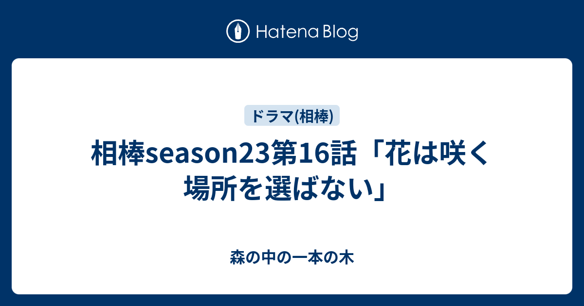 相棒season23第16話「花は咲く場所を選ばない」 - 森の中の一本の木