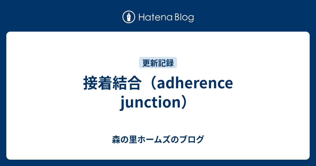 接着結合（adherence junction） - 森の里ホームズのブログ