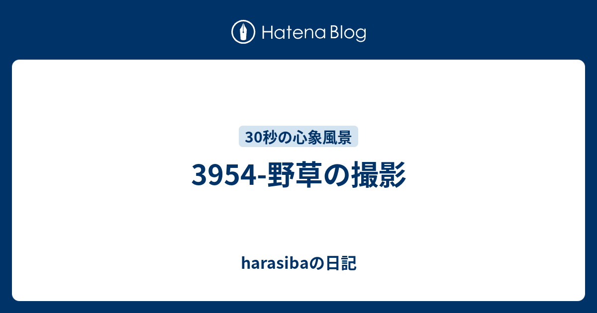 3954-野草の撮影 - harasibaの日記