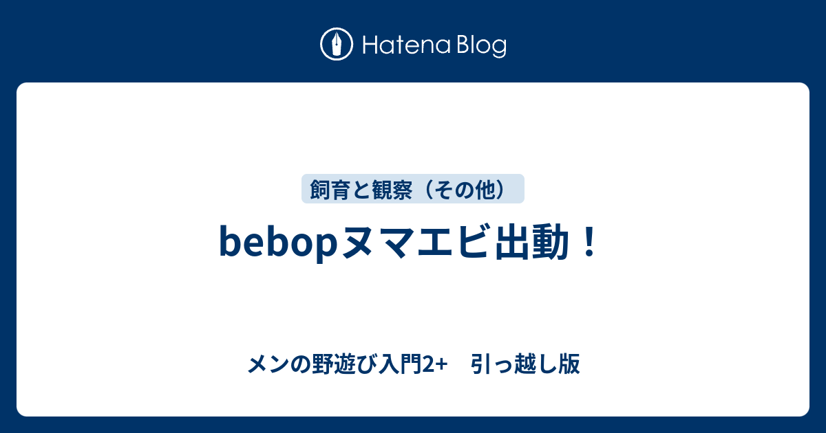 bebopヌマエビ出動！ - メンの野遊び入門2+ 引っ越し版