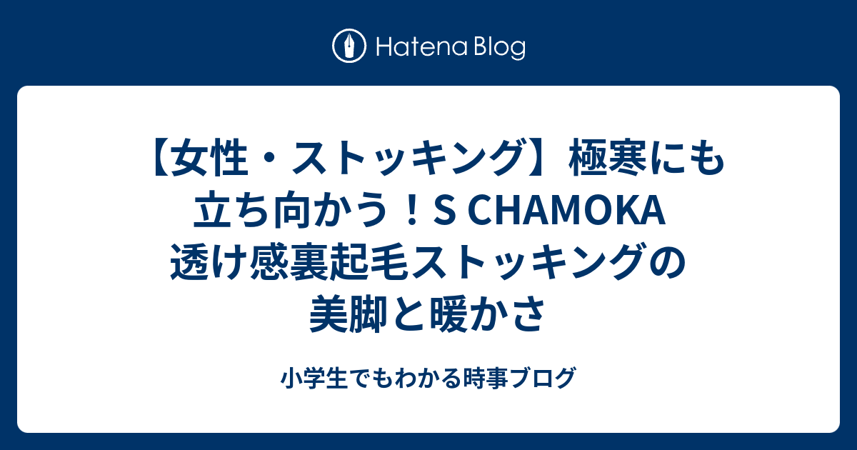 【女性・ストッキング】極寒にも立ち向かう！S CHAMOKA 透け感裏起毛ストッキングの美脚と暖かさ - 小学生でもわかる時事ブログ