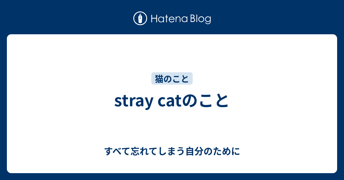 stray catのこと - diary note