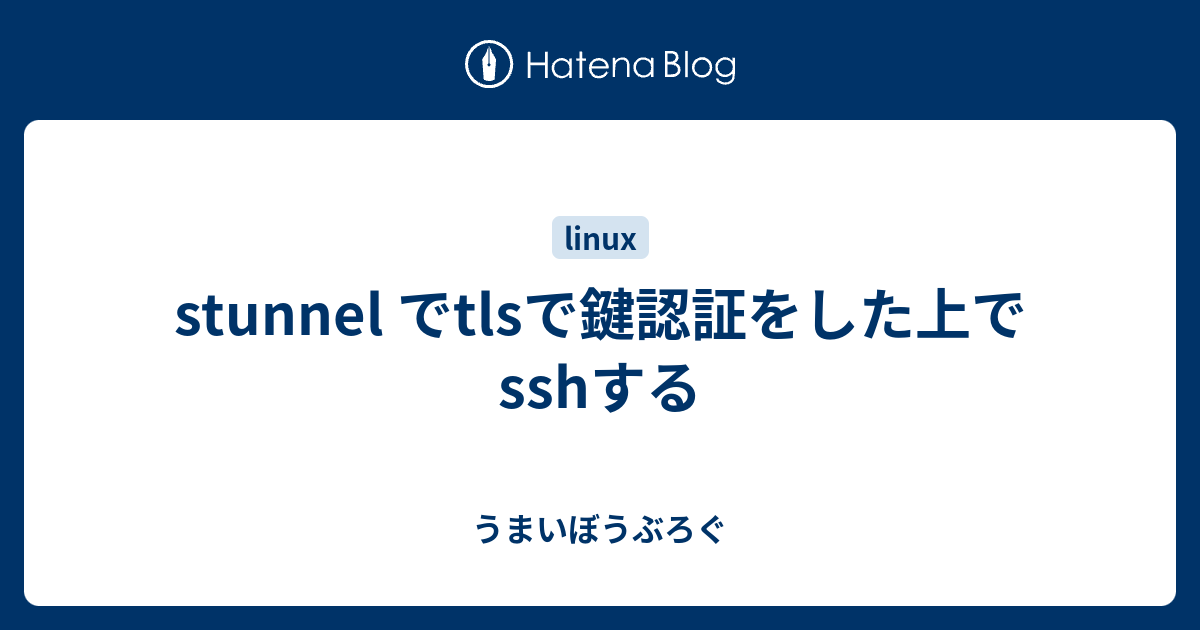 stunnel でtlsで鍵認証をした上でsshする - うまいぼうぶろぐ