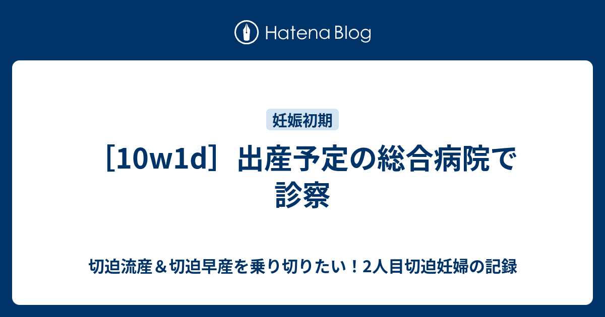 [10w1d]出産予定の総合病院で診察 - 切迫流産＆切迫早産を乗り切りたい！2人目切迫妊婦の記録