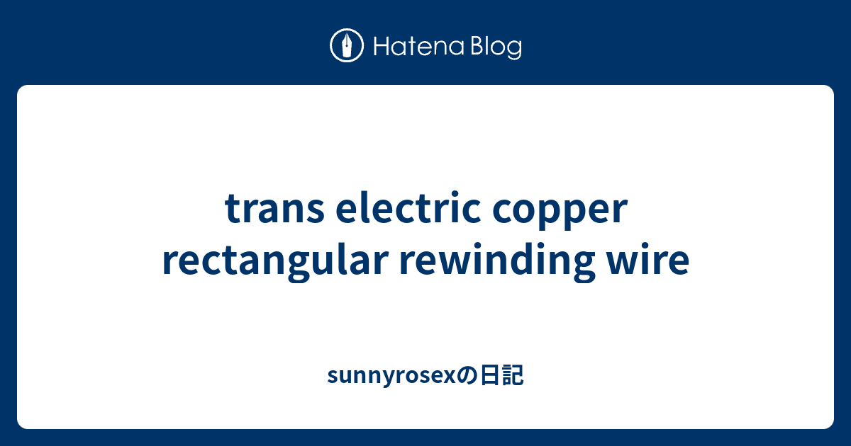 trans electric copper rectangular rewinding wire - sunnyrosexの日記