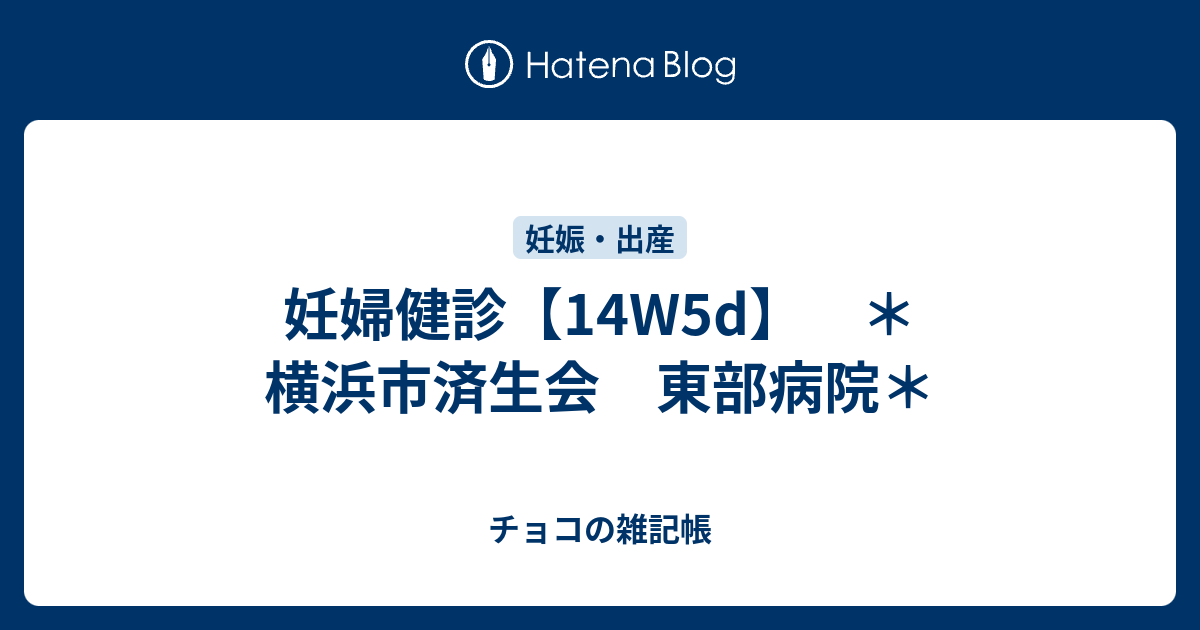 妊婦健診【14W5d】 ＊横浜市済生会 東部病院＊ - チョコの雑記帳